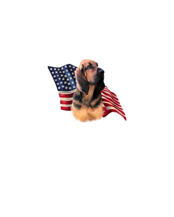 Bloodhound Flag T-Shirt