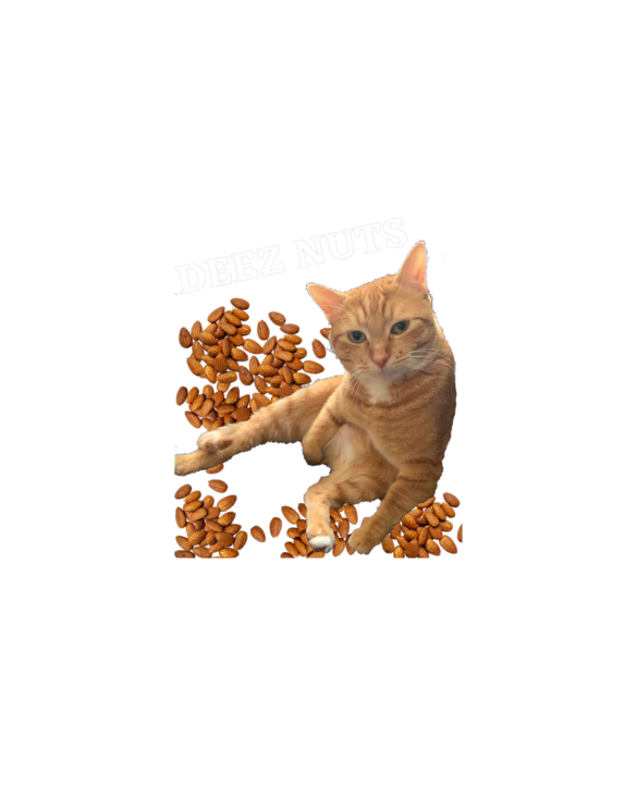 Funny Cat Deez Nuts Joke T-Shirt