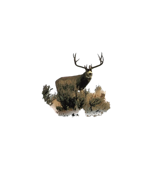 Mule deer,extra wide rack T-Shirt