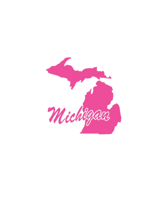 Pink Michigan T-Shirt