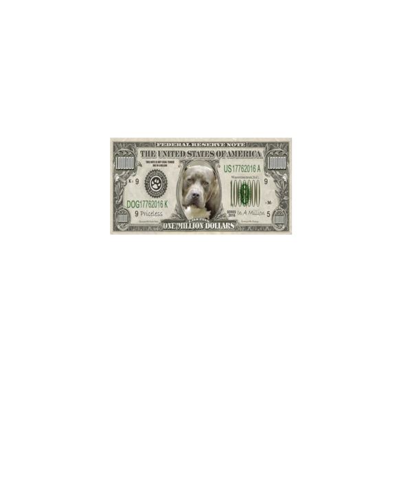 Pit Bull Money T-Shirt