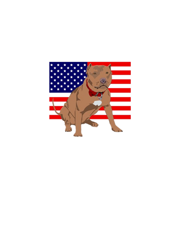 Red Nose Pit Bull USA Flag T-Shirt
