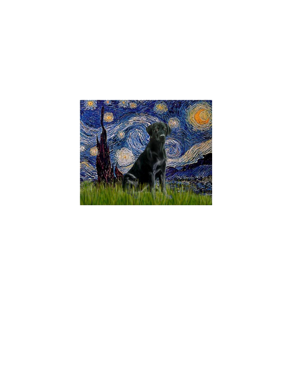 Starry Night Black Lab T-Shirt