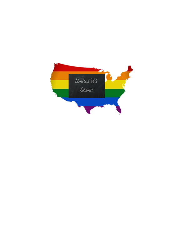 United Gay US Flag Mag T-Shirt
