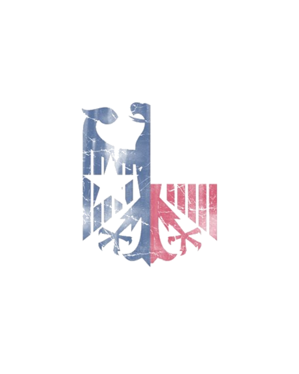 Vintage Texas German Eagle Flag T-Shirt