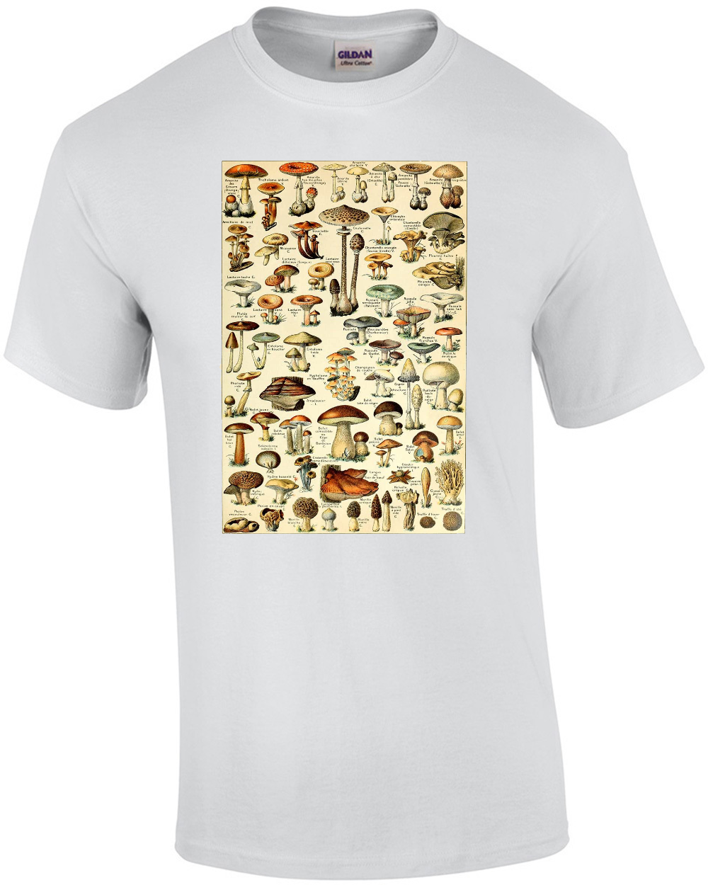 Vintage Mushrooms Chart Illustration Shroom Morel Hunter T-Shirt